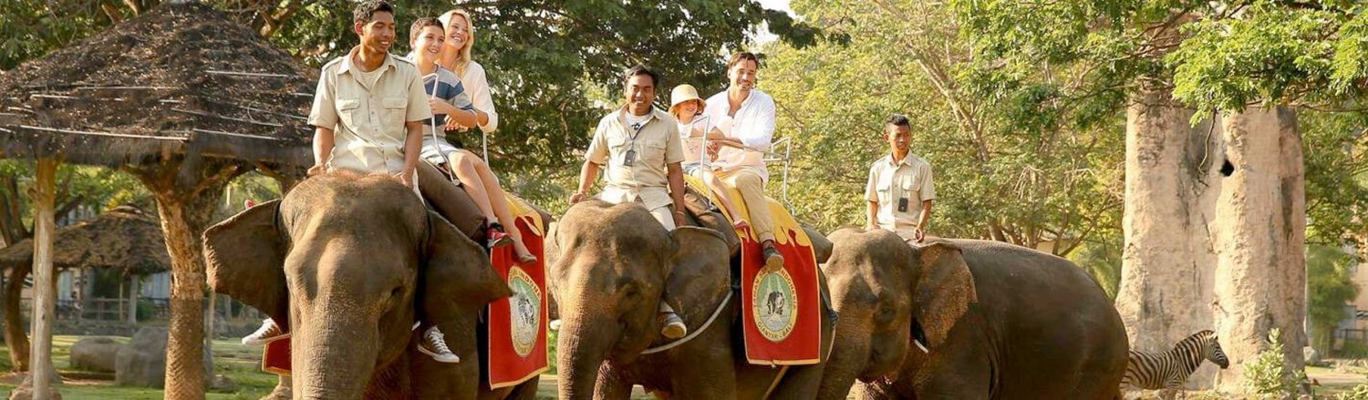 ELEPHANT BACK SAFARI | BaliHonestDriver.com